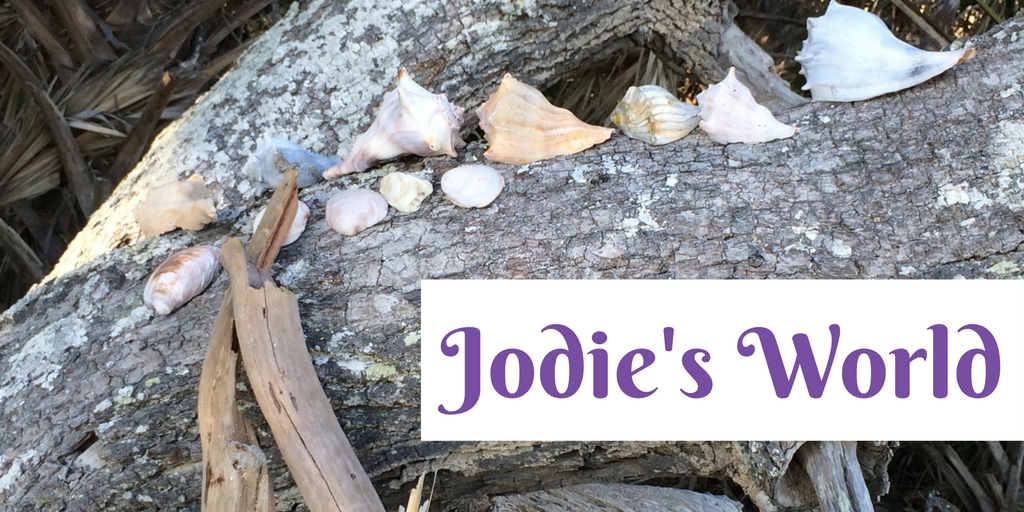 So what is "Jodie's World" - Impact, Influence, & Inspire